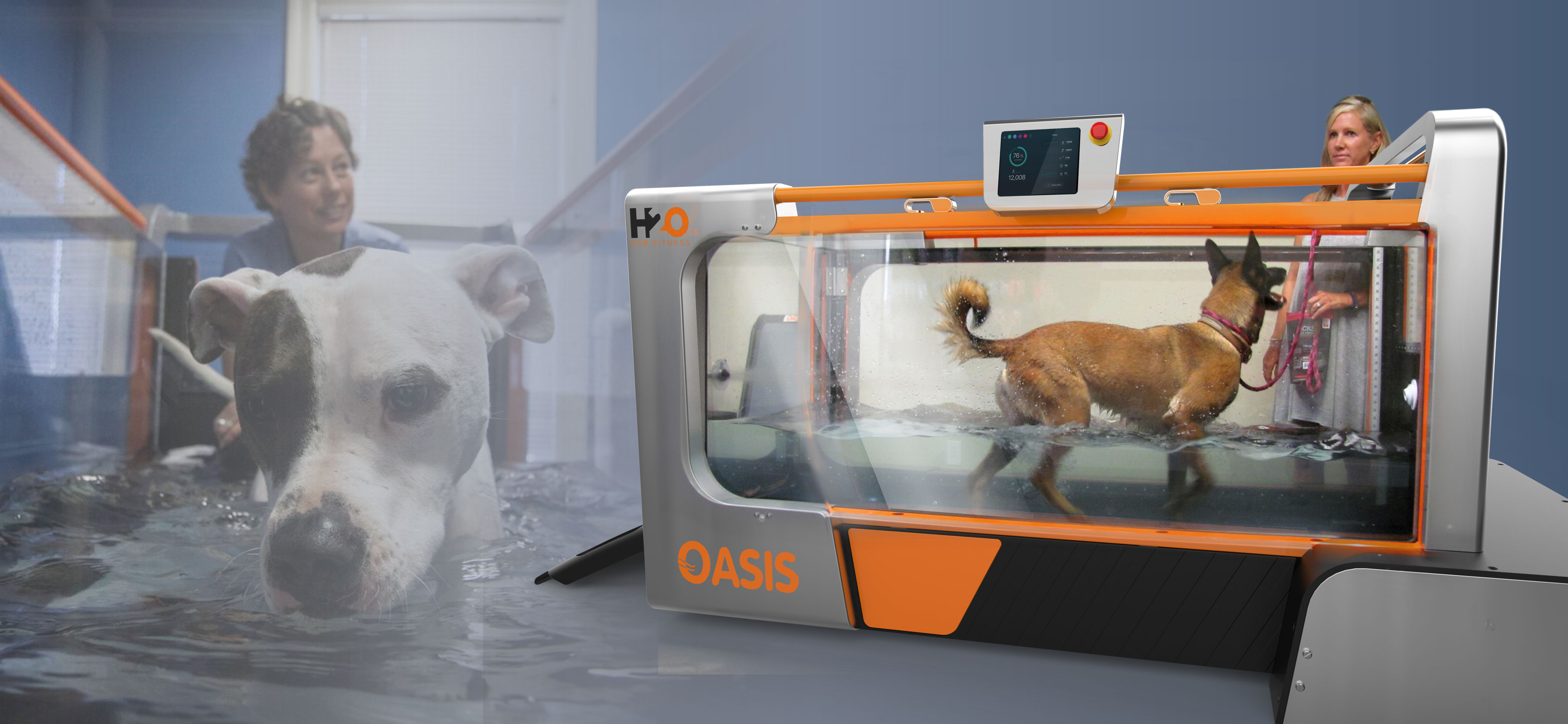 oasis-1 – Experience Design