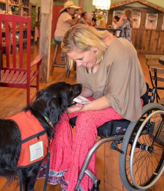 Service Dogs, Inc. — Partners for Life – Experience Design